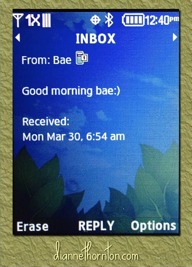 Good Morning, bae - Dianne Thornton